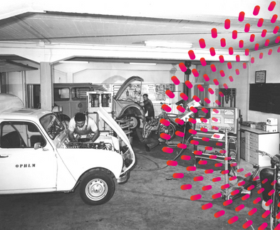 Ophéa, 100 ans de vie commune - Ophea