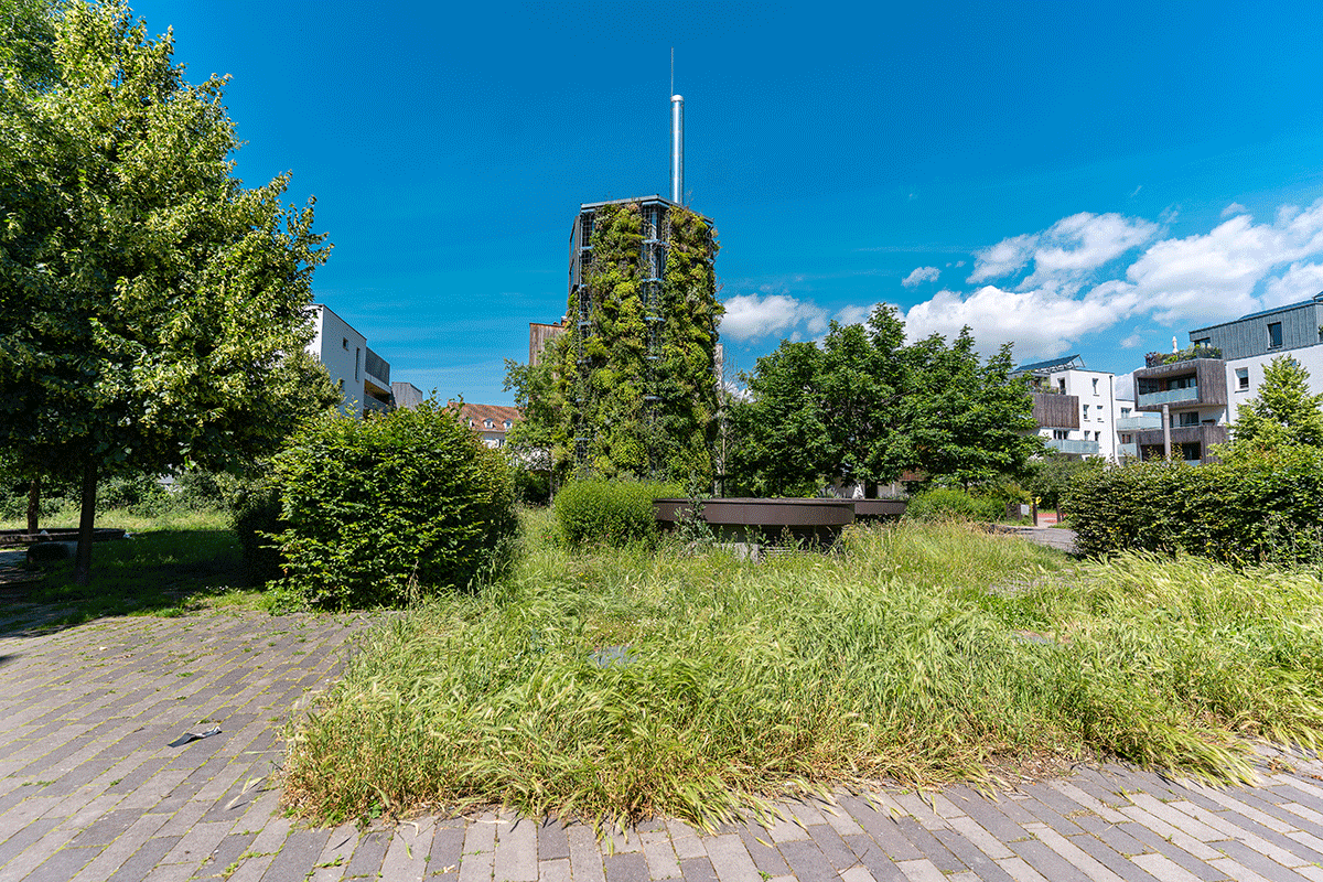 EMHA - Société de coordination des bailleurs sociaux de Strasbourg